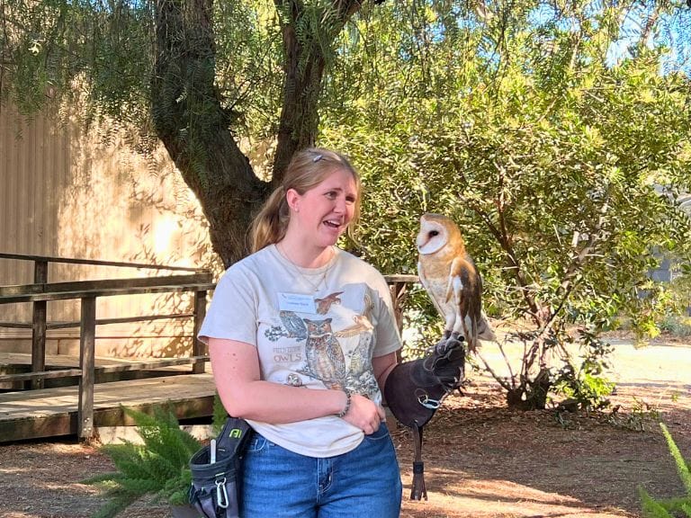 38 Fun Things To Do with Kids in Sacramento - Sactown Supermom