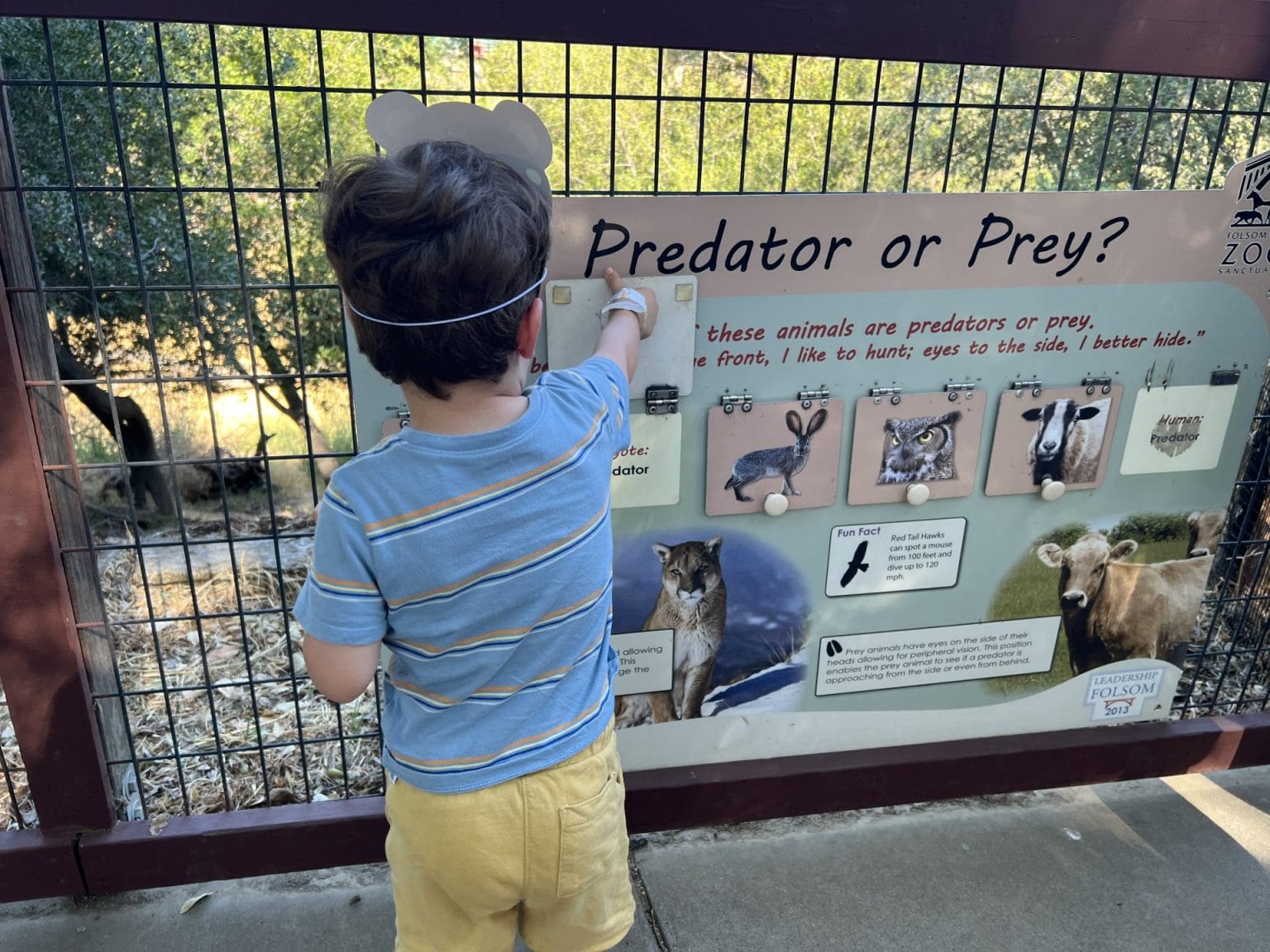 Folsom City Zoo Sanctuary: A Family Guide - Sactown Supermom