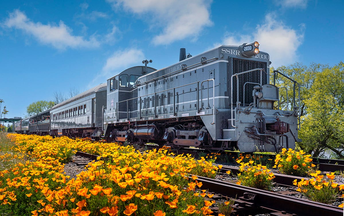 Top Spring Activities in Sacramento for Kids - Sactown Supermom