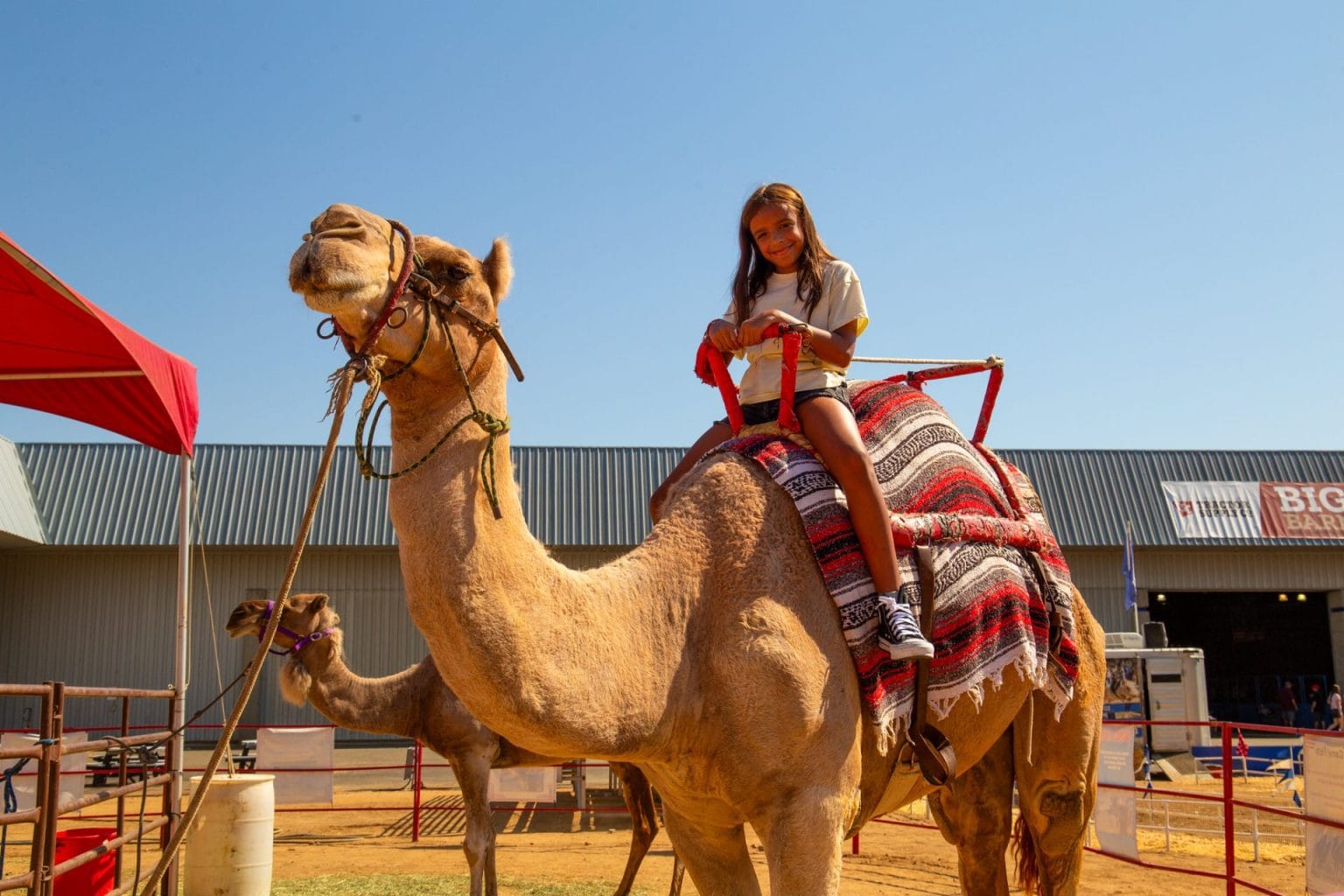 Can’t-Miss Summer Events in Sacramento for Kids (2026) - Sactown Supermom